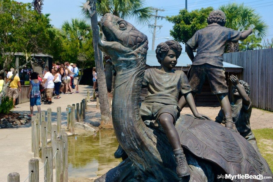 Myrtle Beach Photos - Alligator Adventure - MyrtleBeach.com