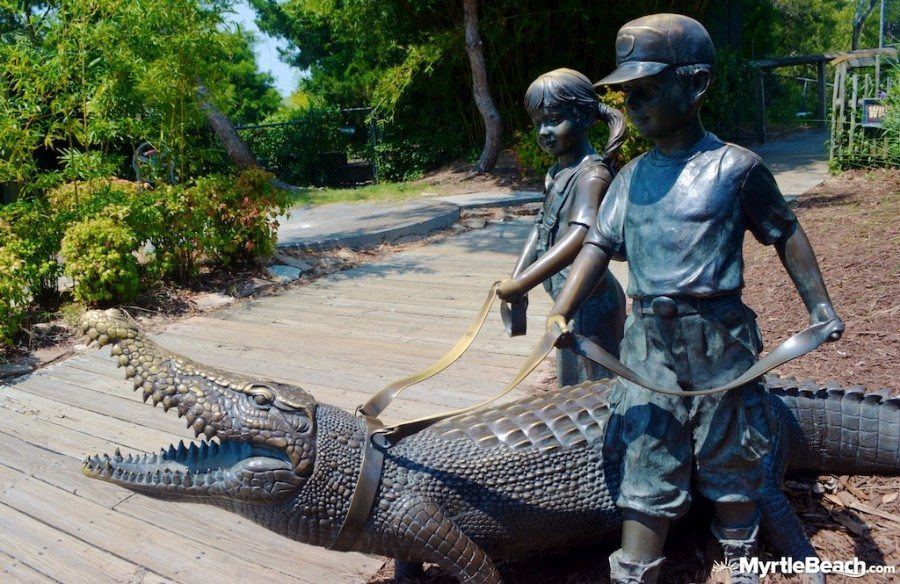 Myrtle Beach Photos - Alligator Adventure - MyrtleBeach.com