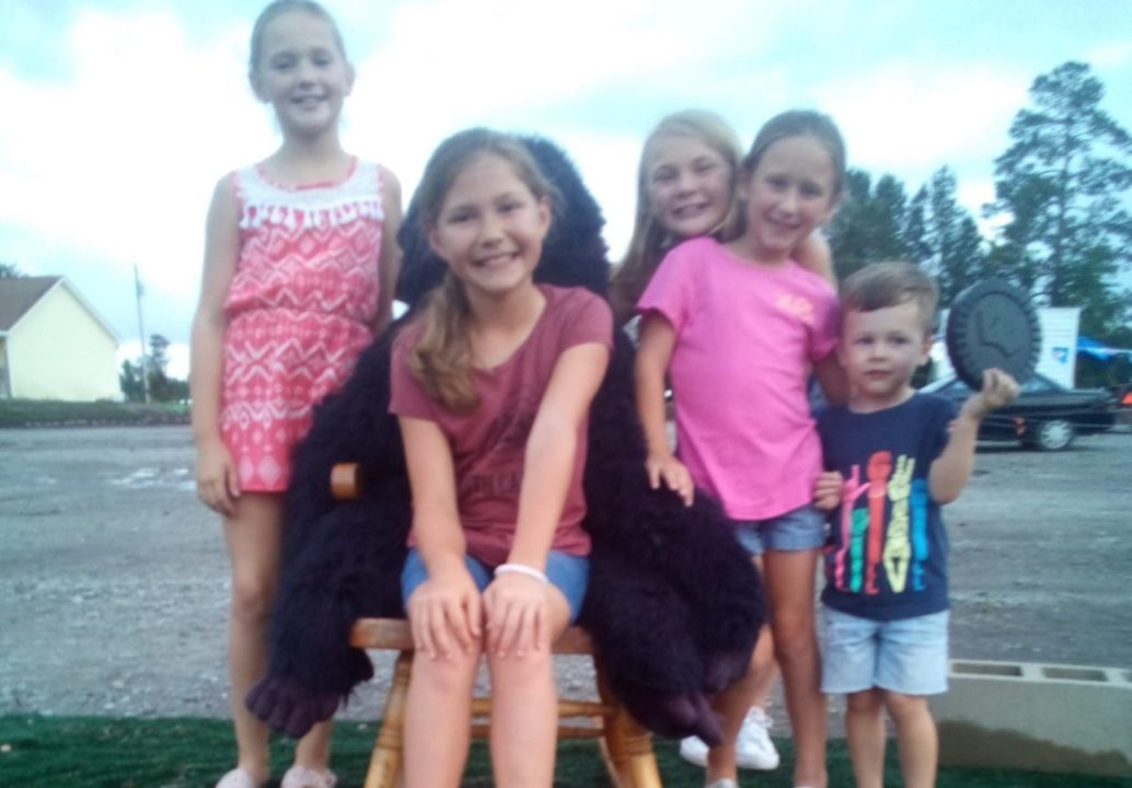 Stateline Movie Time Drive In Theater - Attractions - MyrtleBeach.com