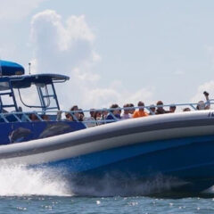 Myrtle Beach Boat Tours & Cruises | MyrtleBeach.com