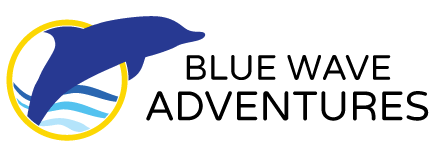 Blue Wave Adventures Dolphin Watch - Attractions - MyrtleBeach.com